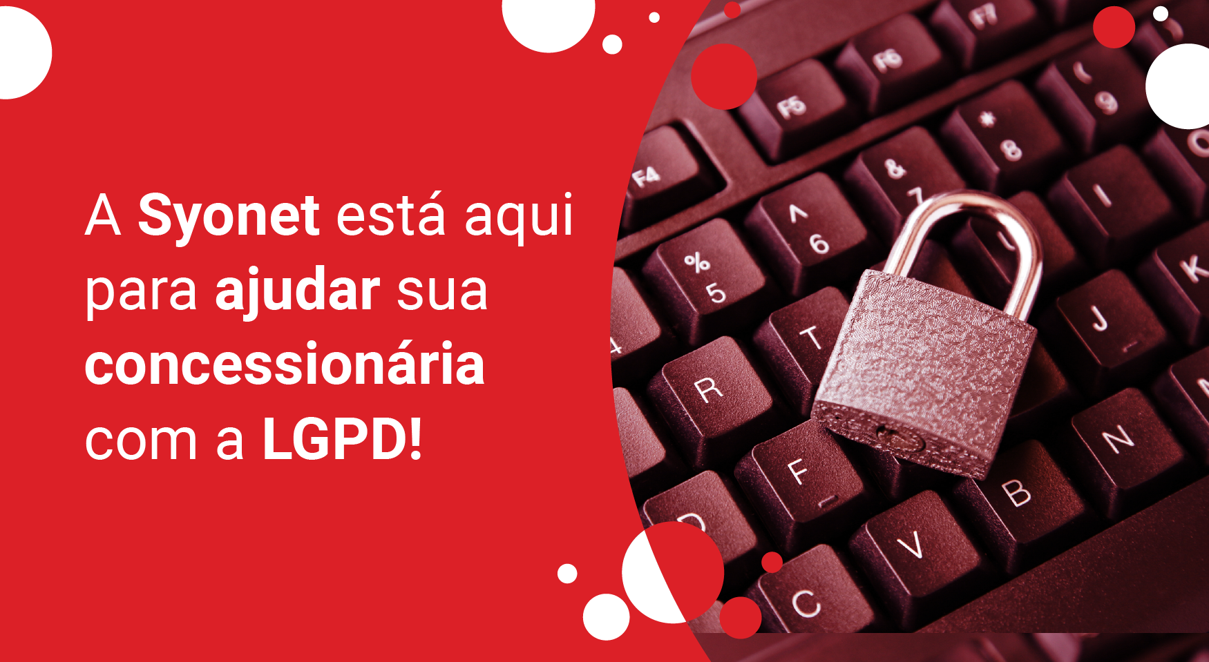 Conheça o Portal LGPD